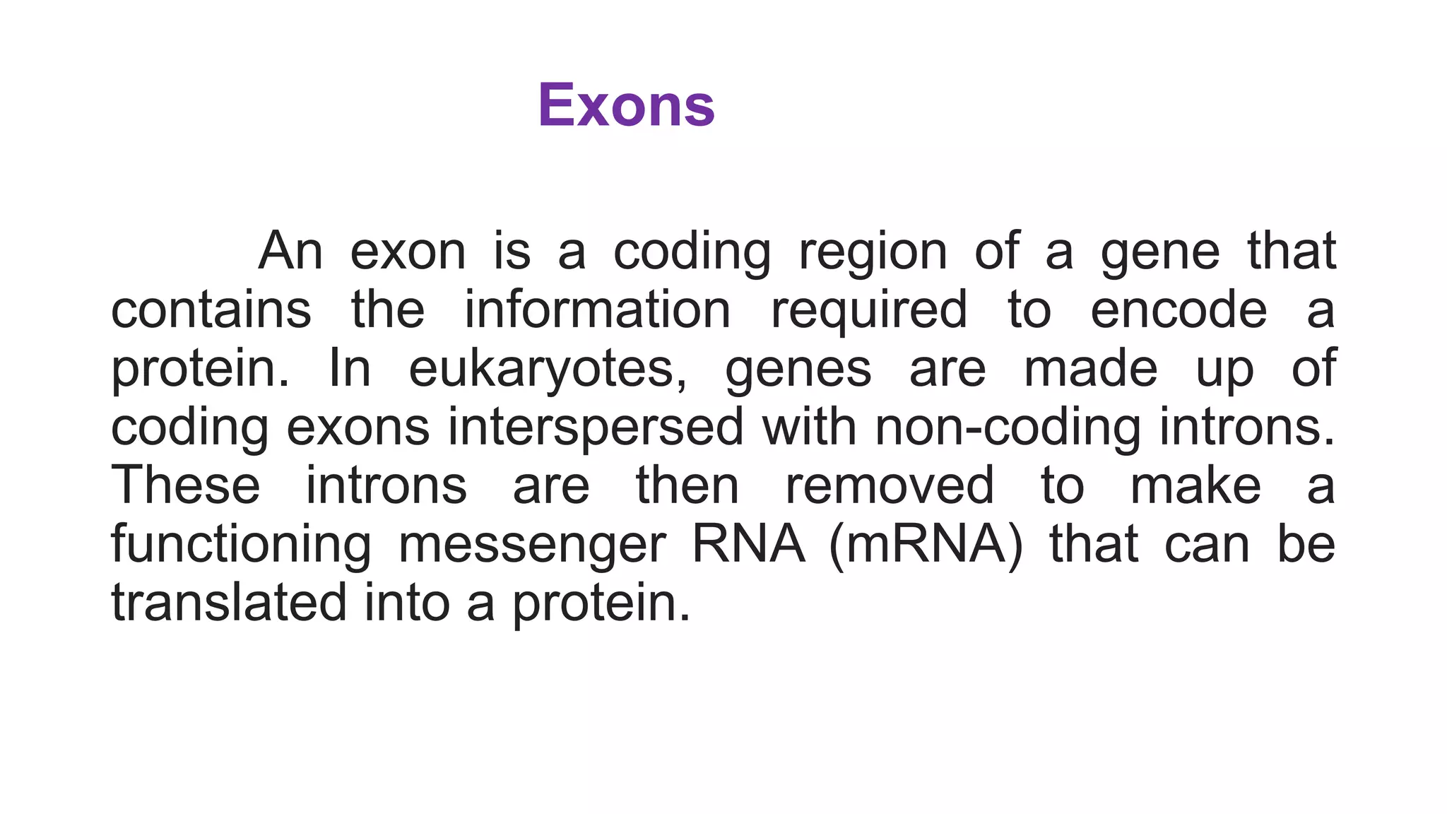 EXONS.pptx