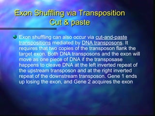 Exon shuffling | PPT