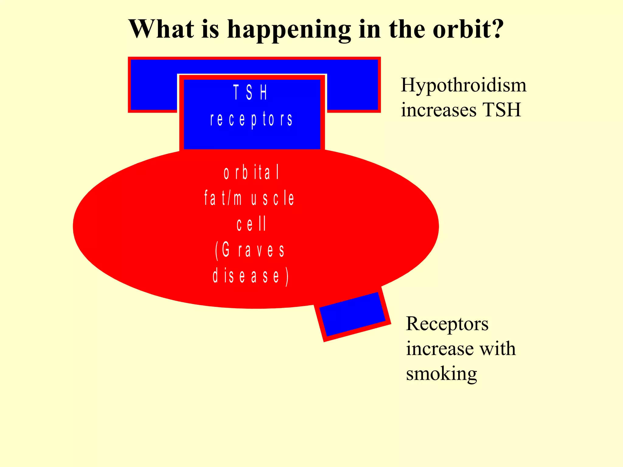 Exophthalmos, thyroid eye disease. | PPT | Thyroid Disorders ...
