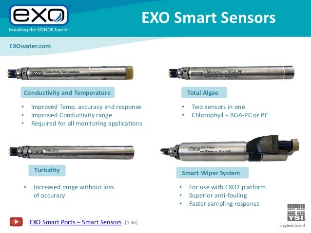 Water Quality Sondes | EXO Multiparameter Instruments | YSI