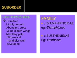 Exopterygote insects - order 5 , 6, 7 | PPT