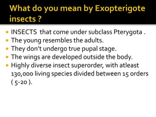 Exopterygote insects - order 5 , 6, 7 | PPTX