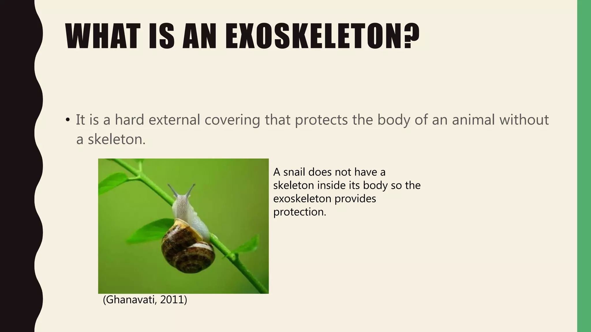 Exoskeletons | PPTX