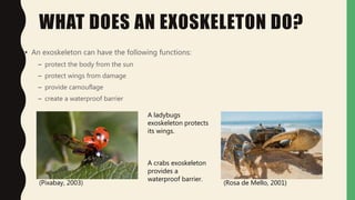 Exoskeletons | PPTX