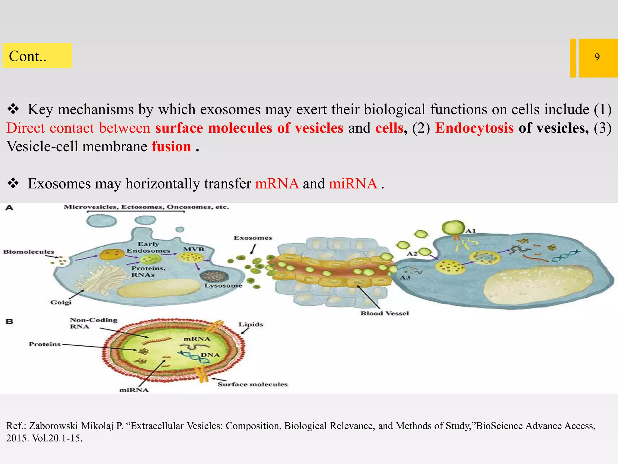Exosome | PPSX
