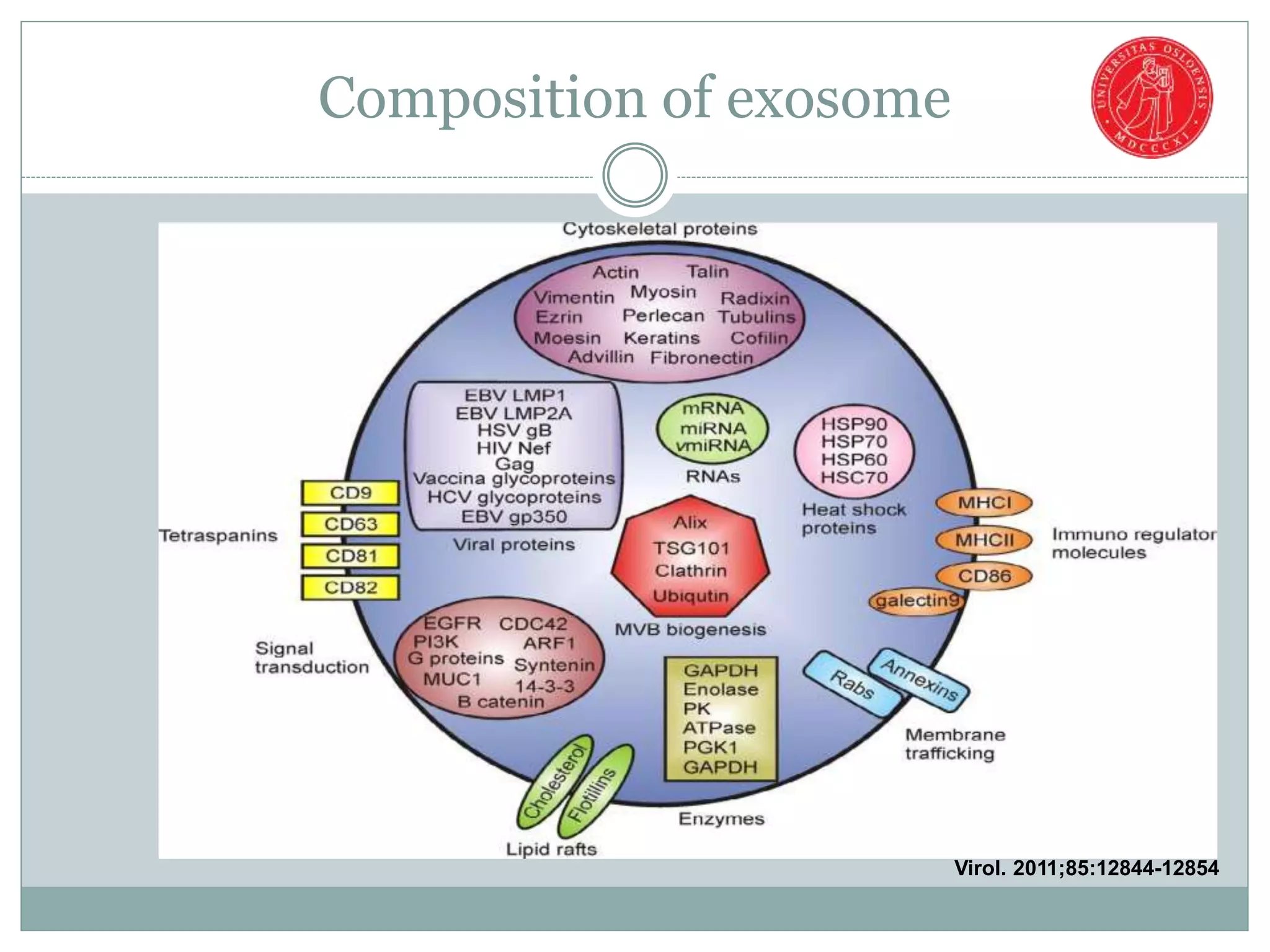 Exosome and cancer | PPTX
