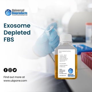 Exosome Depleted FBS.pdf