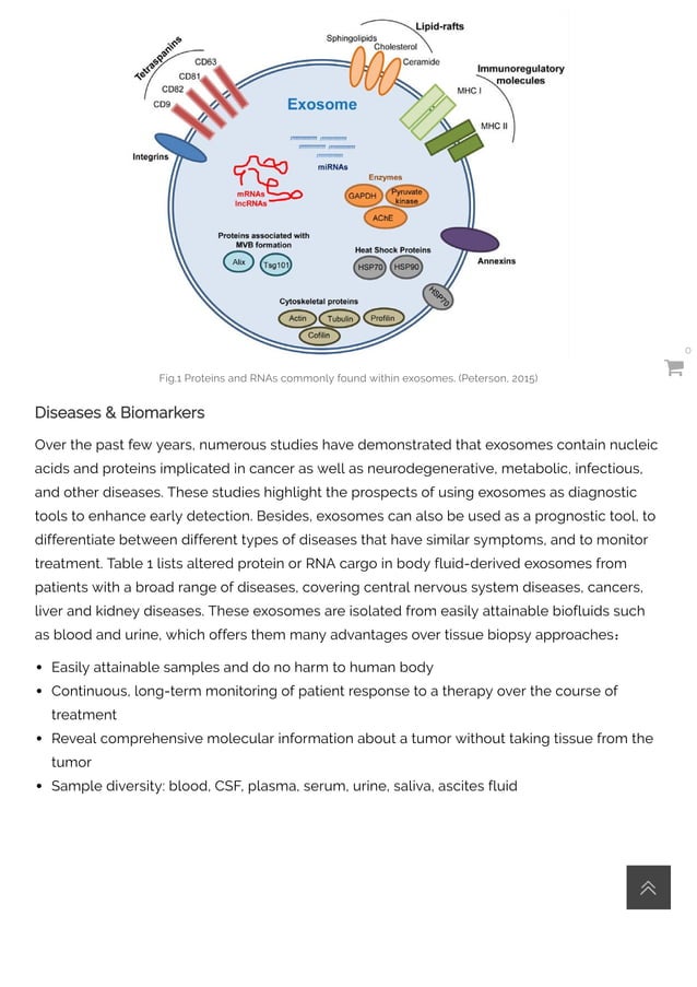 Exosome diagnostic | PDF