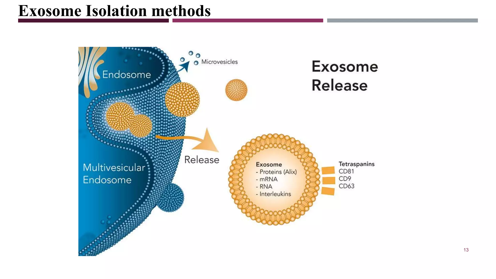 Exosome isolation and characterization | PPTX