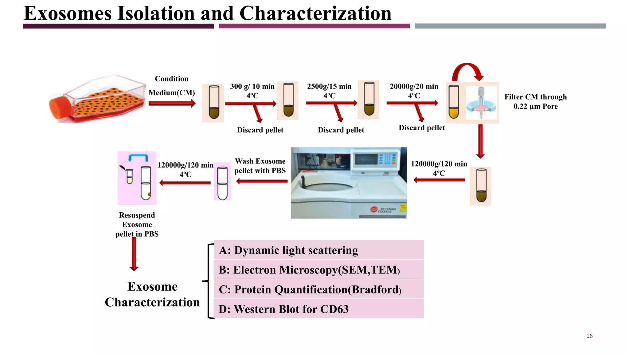 Exosome isolation and characterization | PPTX