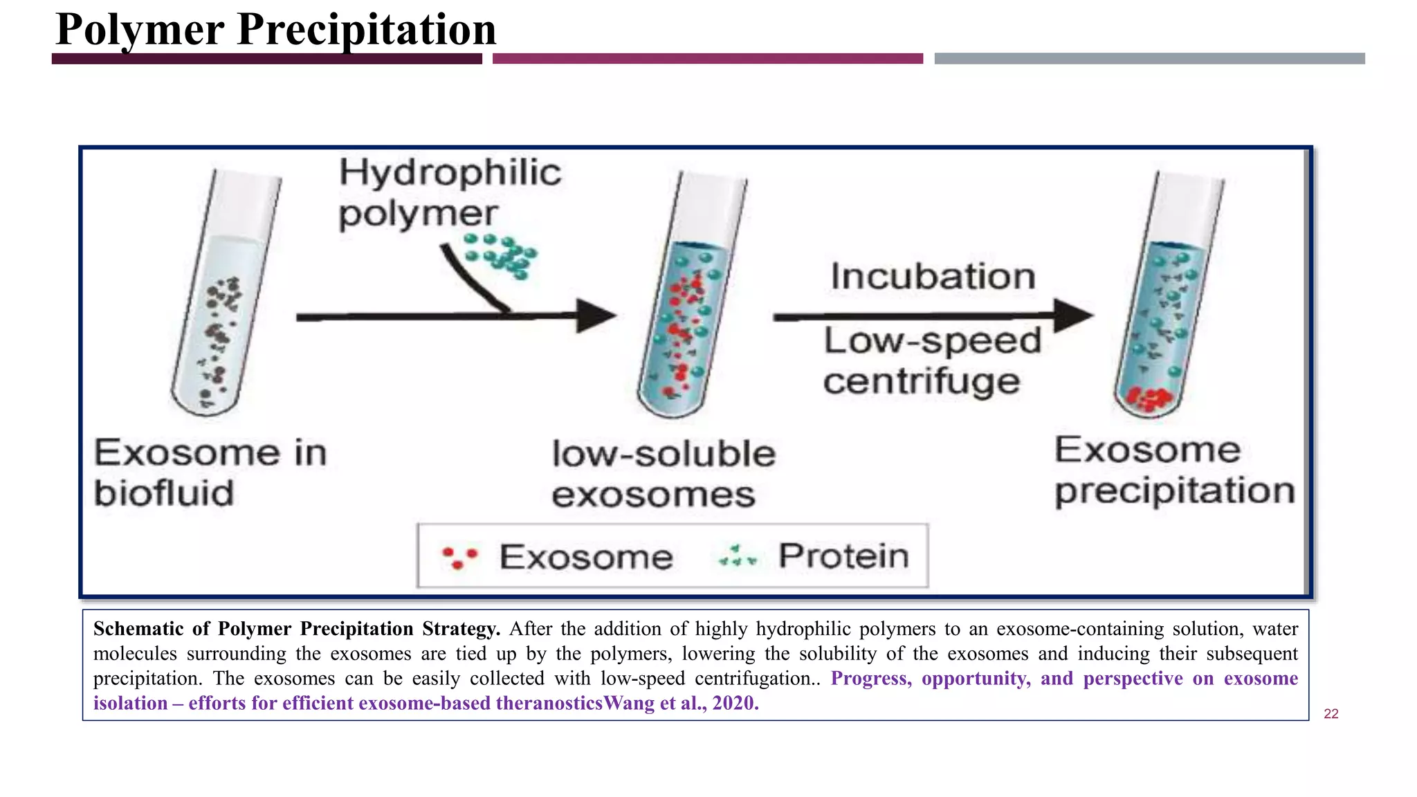 Exosome isolation and characterization | PPTX