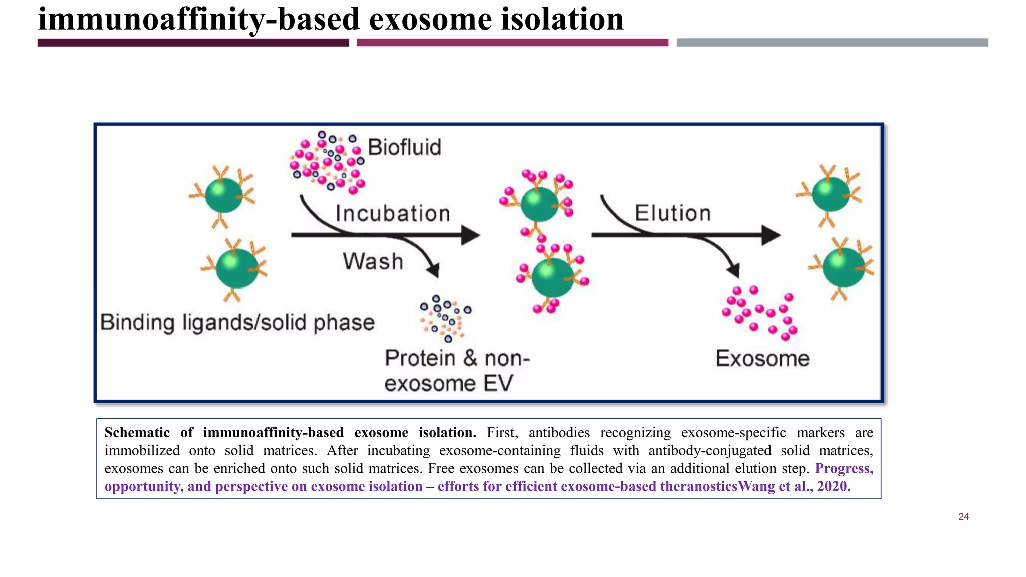 Exosome isolation and characterization | PPTX