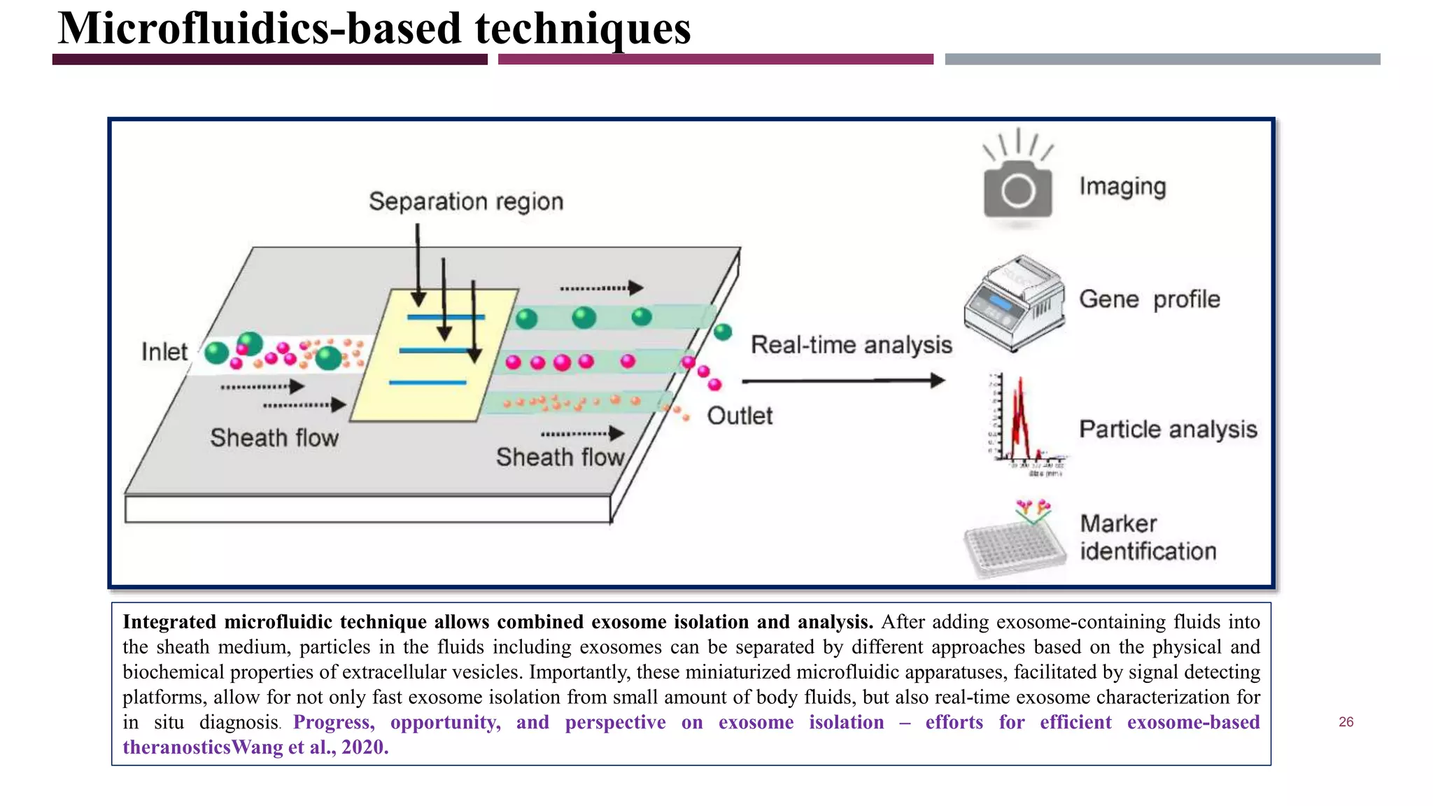Exosome isolation and characterization | PPTX