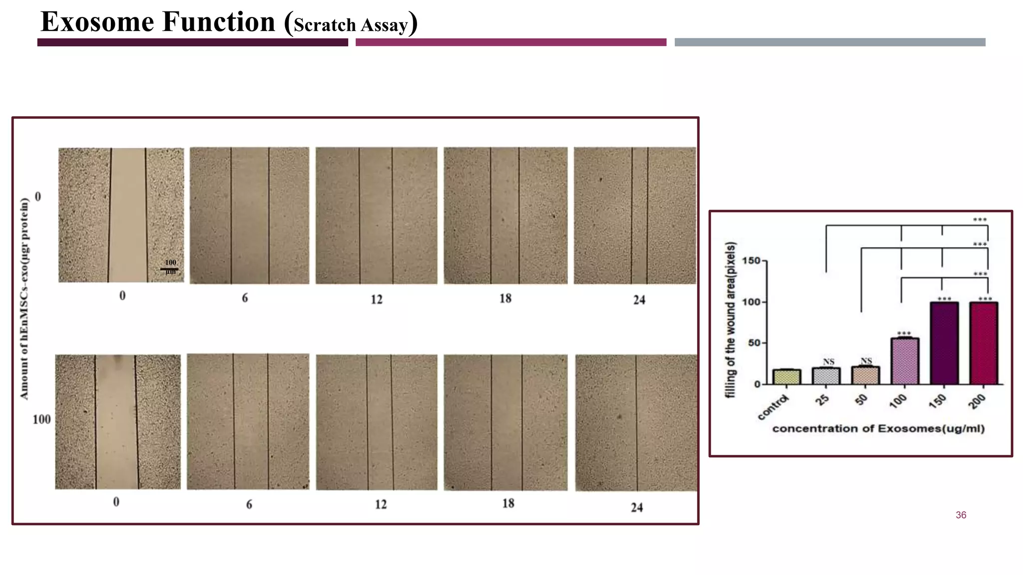 Exosome isolation and characterization | PPTX