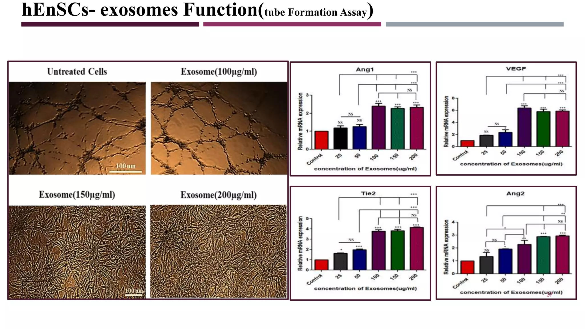 Exosome isolation and characterization | PPTX