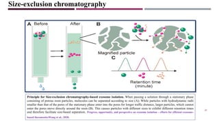 Exosome isolation and characterization | PPTX