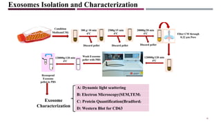 Exosome isolation and characterization | PDF