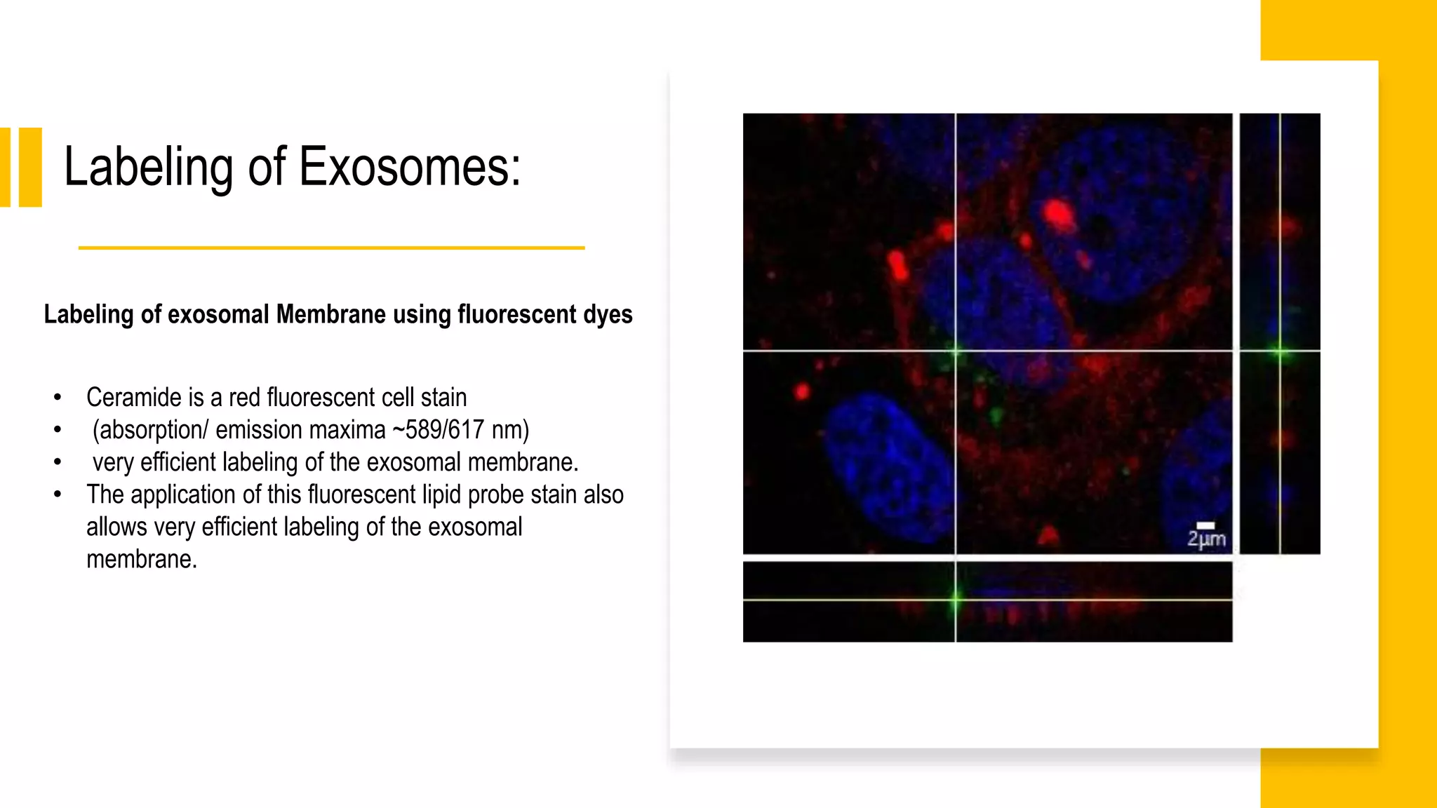 Exosomes.final.pptx