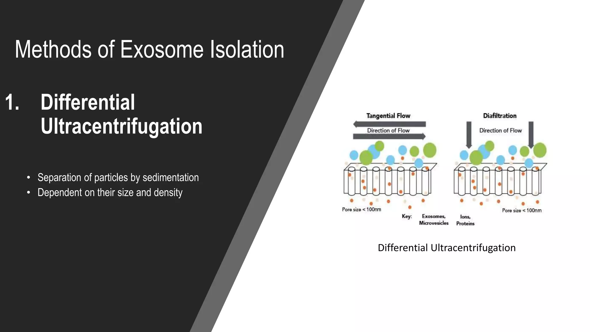 Exosomes.final.pptx