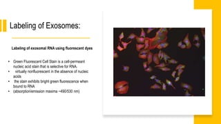 Exosomes.final.pptx
