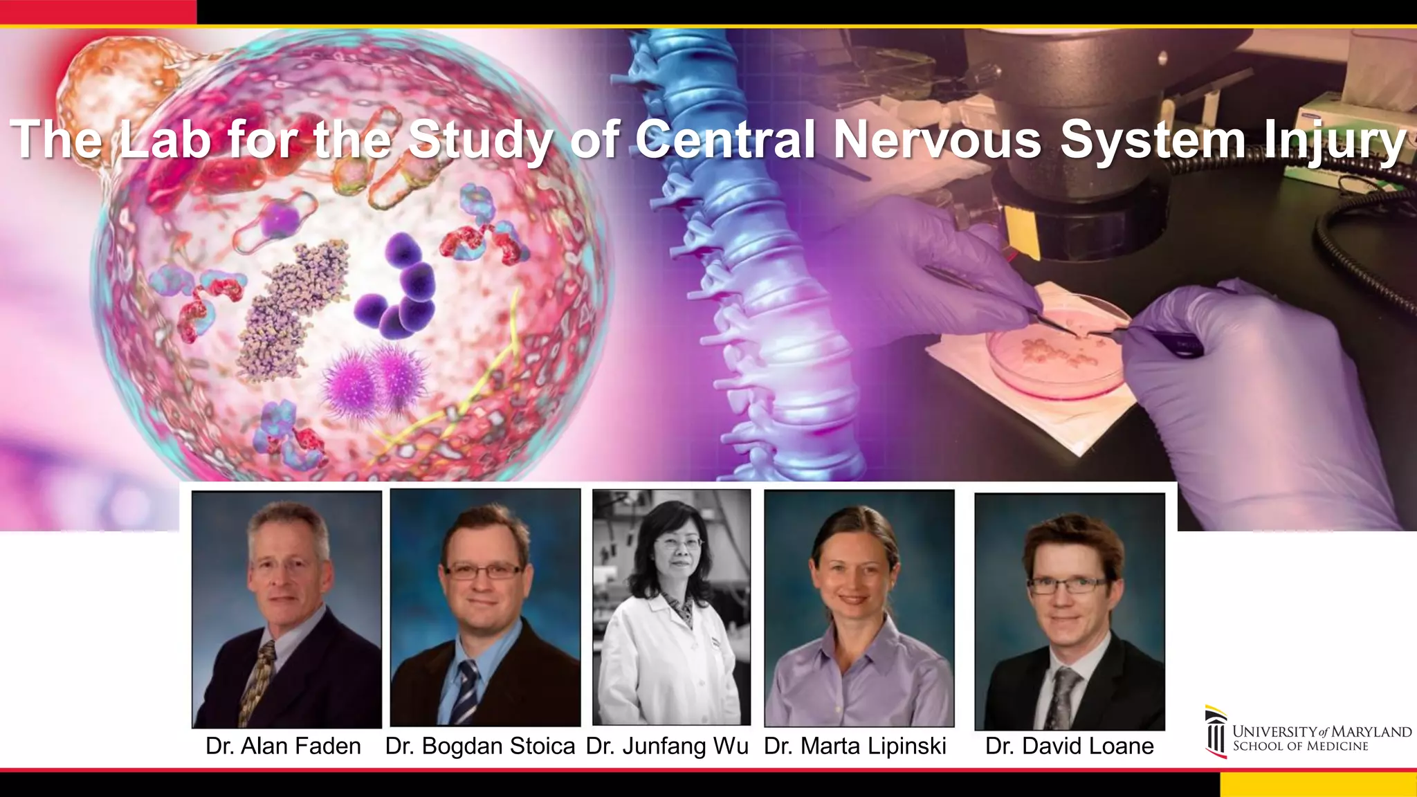 Exosomes: Exploiting the Diagnostic and Therapeutic Potential of Nature ...