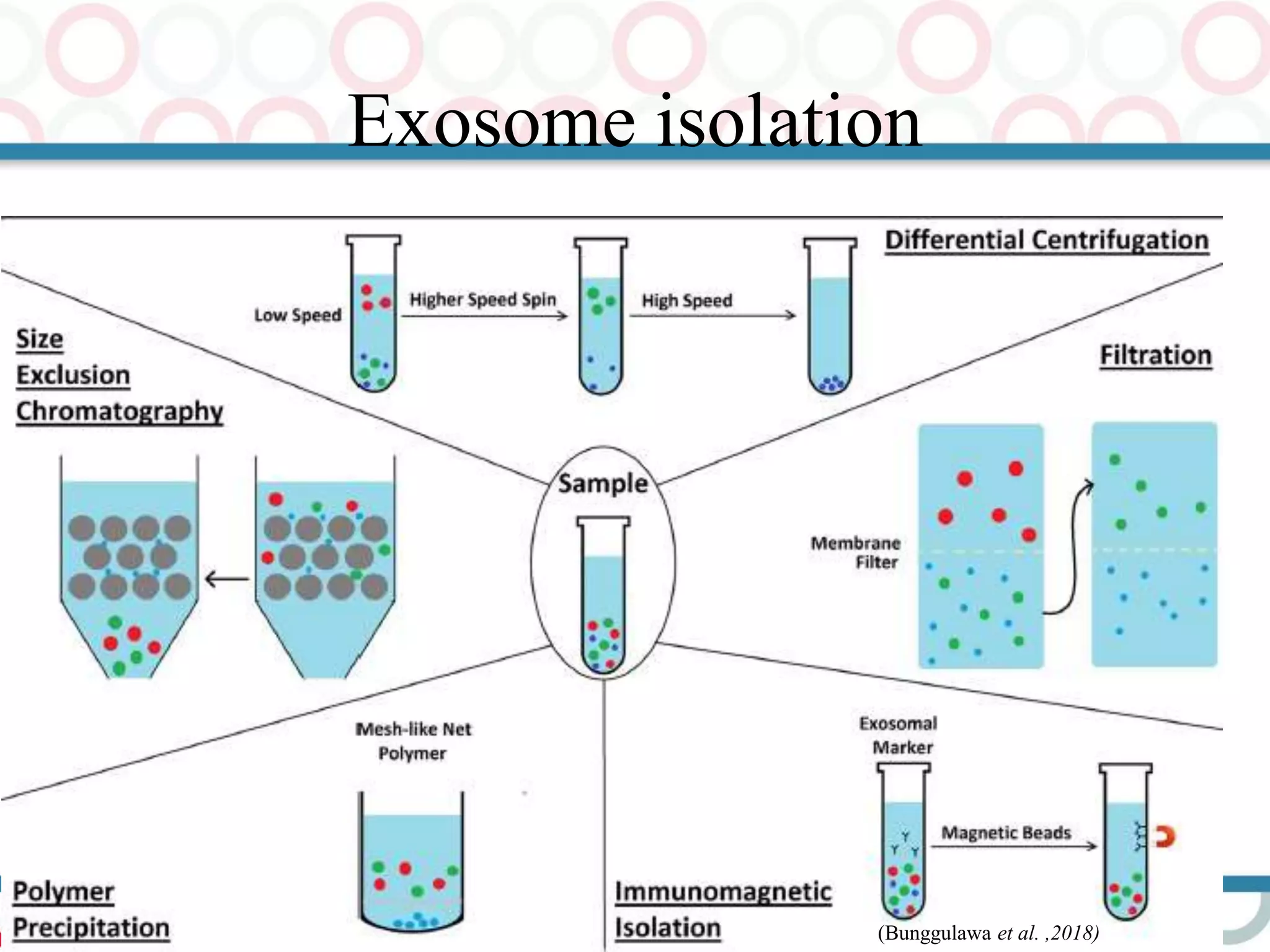 Exosomes - Diagnostics and Therapeutics | PPTX