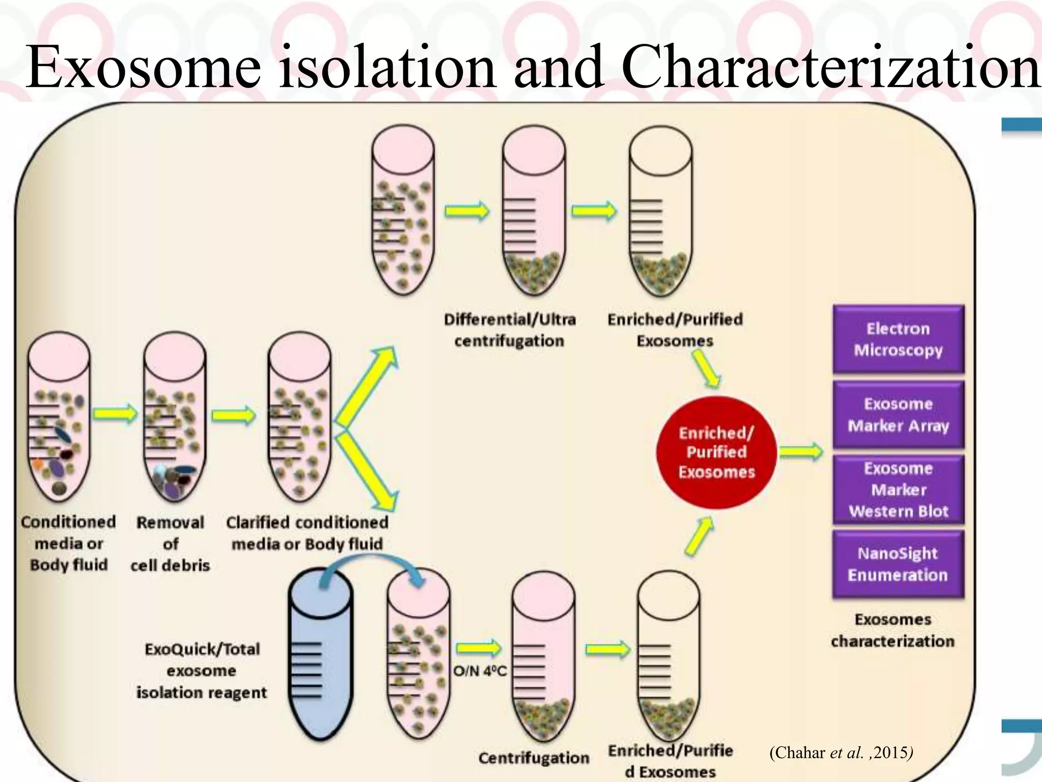 Exosomes - Diagnostics and Therapeutics | PPTX
