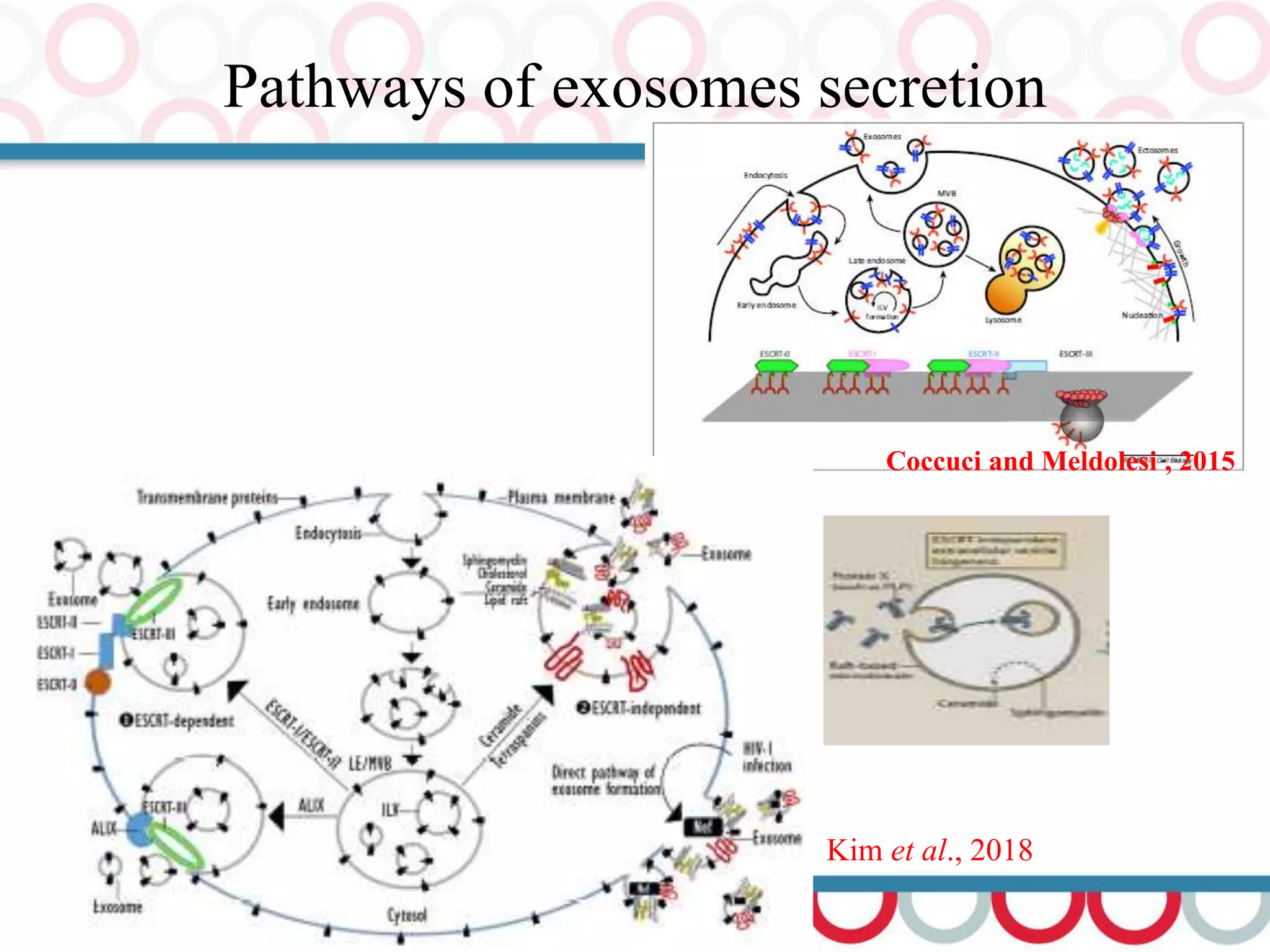 Exosomes - Diagnostics and Therapeutics | PPTX
