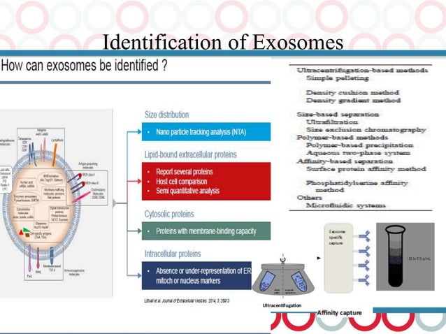 Exosomes - Diagnostics and Therapeutics | PPT