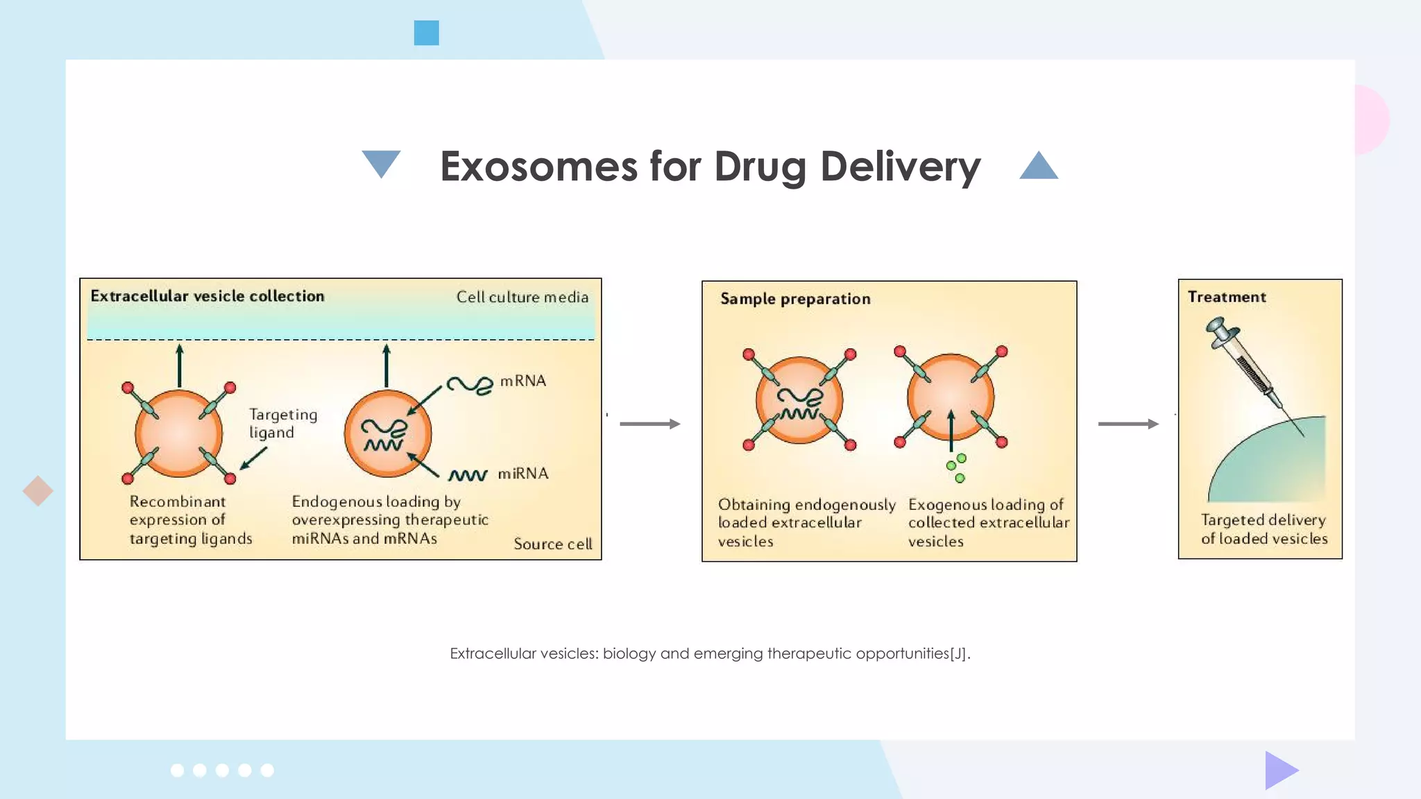Exosomes Biogenesis&Therapeutics | PDF