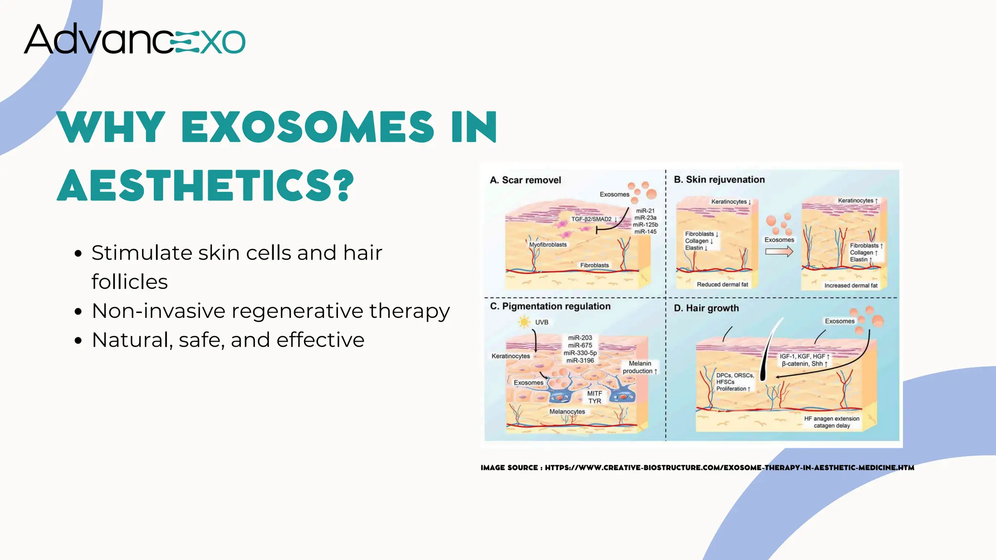 Exosomes in Aesthetics: Revolutionary Treatments for Hair & Skin ...