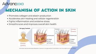 Exosomes in Aesthetics: Revolutionary Treatments for Hair & Skin ...