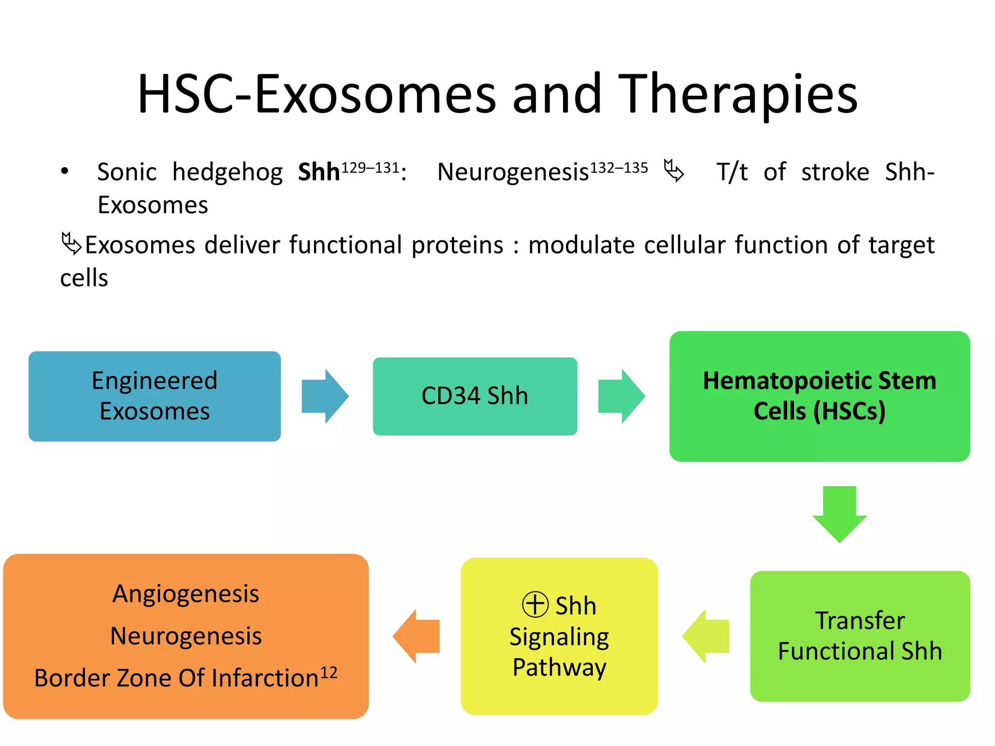 Exosomes in stroke pathogenesis and therapy: A Review | PPTX