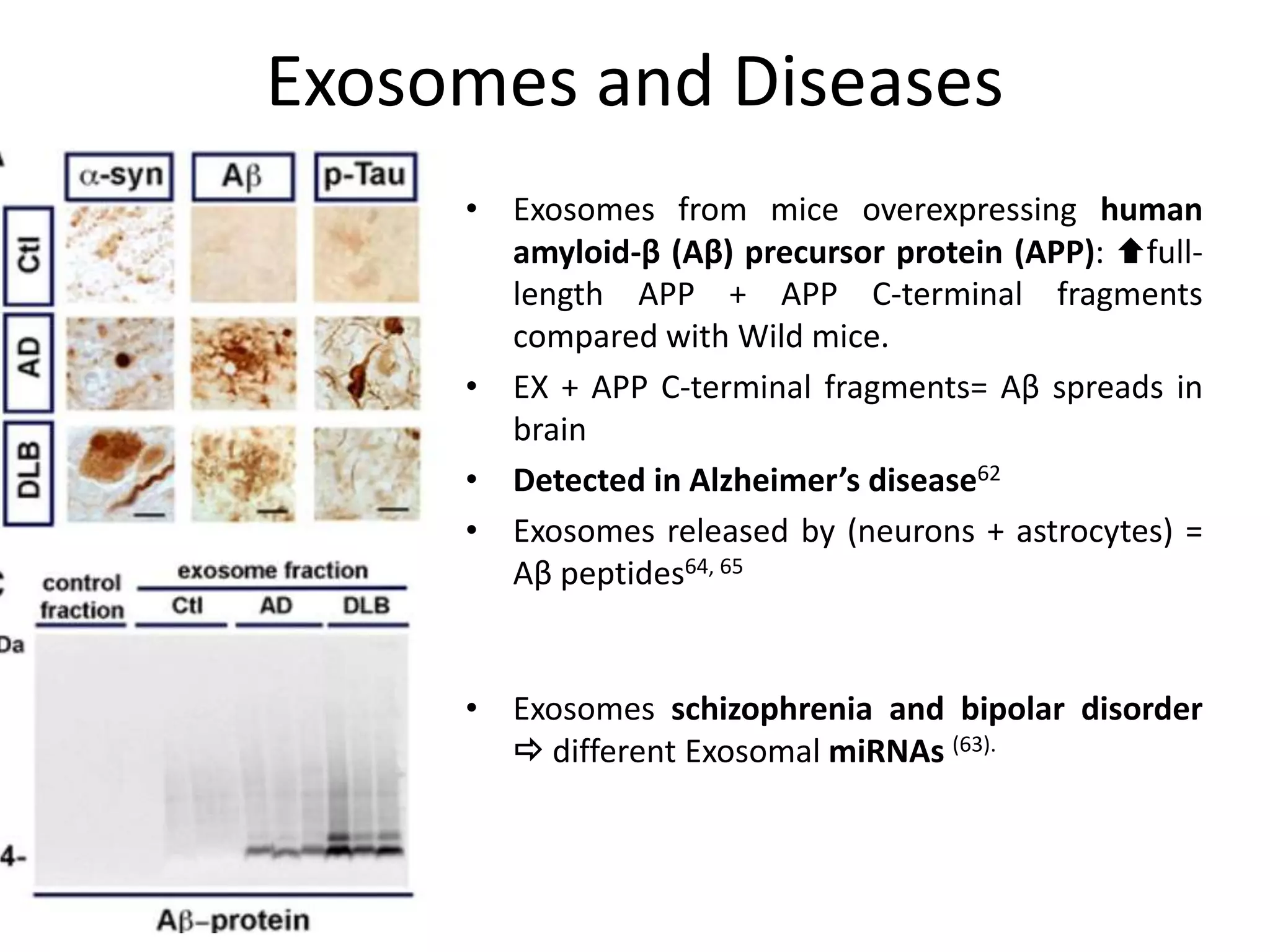 Exosomes in stroke pathogenesis and therapy: A Review | PPTX