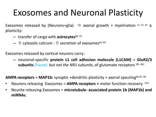 Exosomes in stroke pathogenesis and therapy: A Review | PPTX