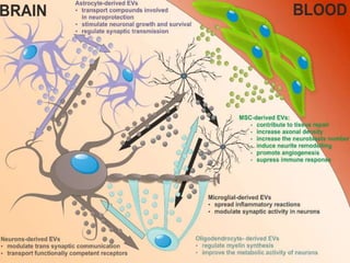 Exosomes in stroke pathogenesis and therapy: A Review | PPTX