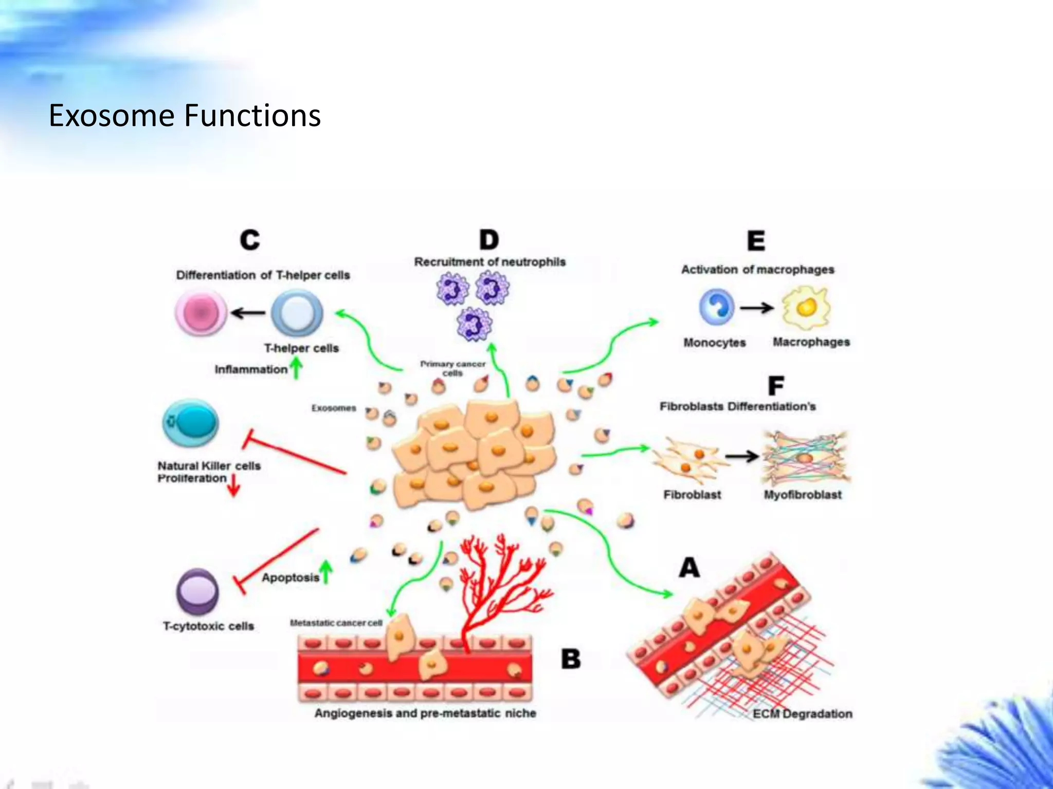 Exosomes pathway-creative diagnostics | PPT