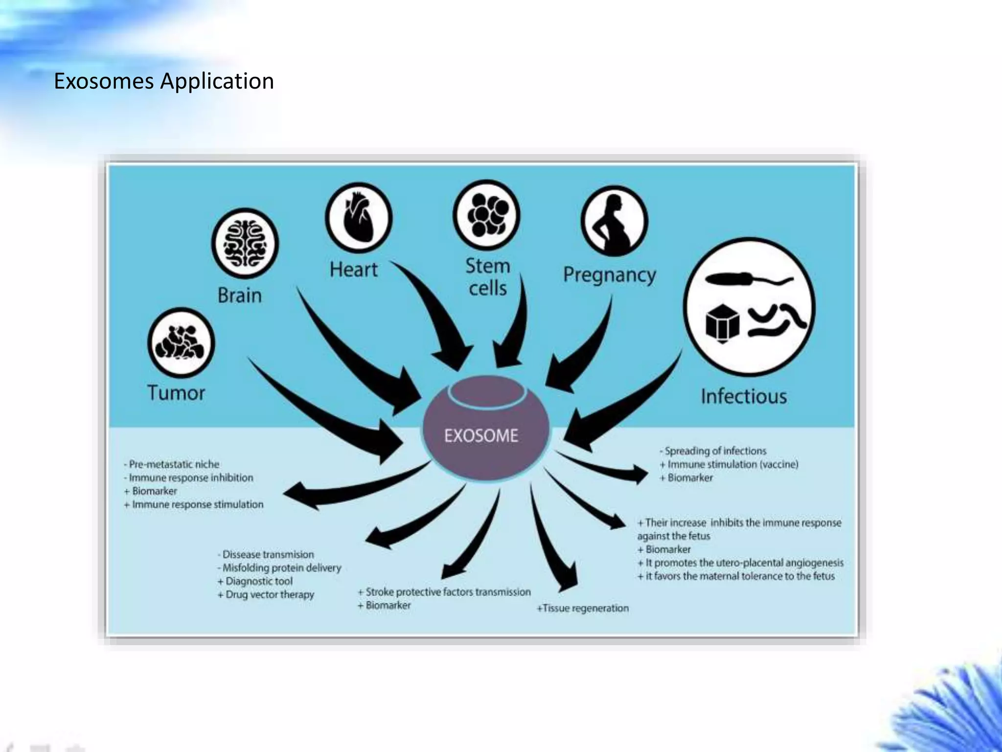 Exosomes pathway-creative diagnostics | PPT