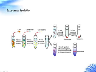 Exosomes pathway-creative diagnostics | PPT