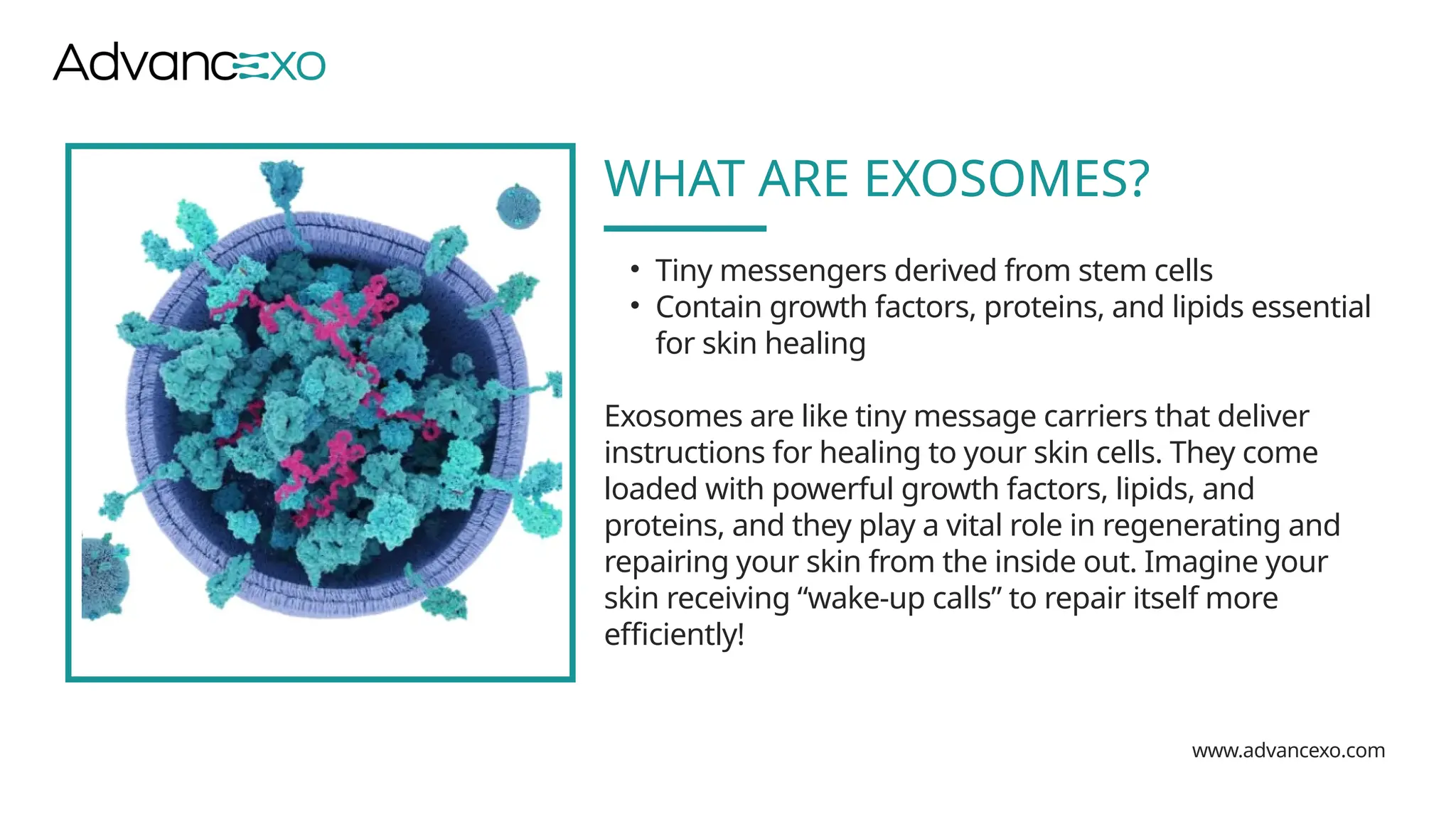 Exosome Therapy for Acne Scars, Lines, and Wrinkles | PPTX