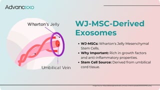 Exosome Therapy for Hair Loss: Revolutionizing Hair Treatment | PDF