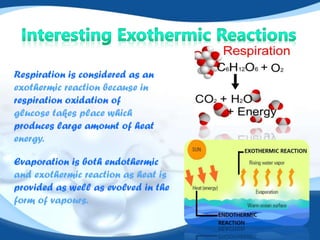 Exothermic reactions | PPTX