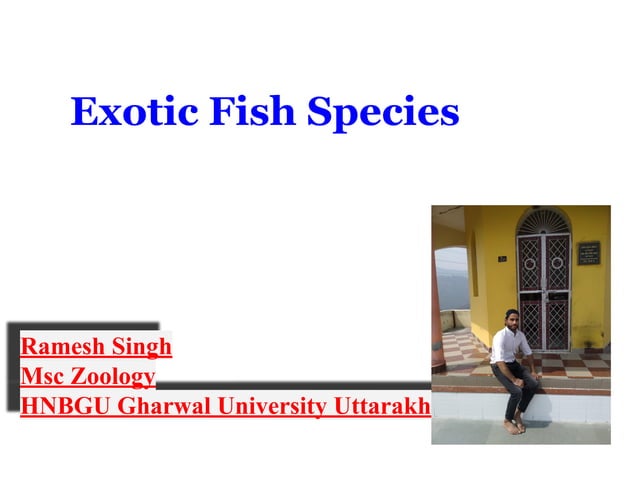 Exotic Fish Species | PPT