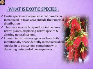 exotic vegetables, fruits and flowers | PPTX