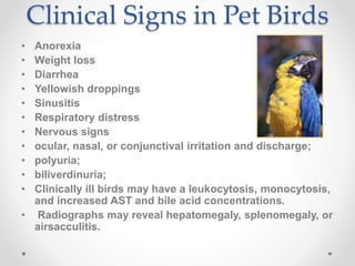 Exotic bird disease and treatment | PPTX