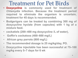 Exotic bird disease and treatment | PPTX