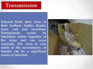 Exotic bird disease and treatment | PPTX