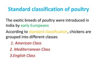 Exotic breeds of poultry discuss about exotic breeds of poultry.pptx