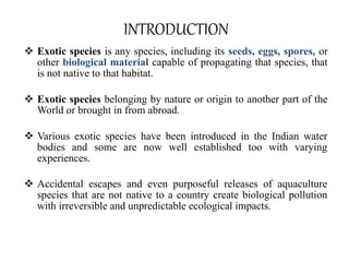 EXOTIC FISHES PG SUNDARGARH PPT (2).docx