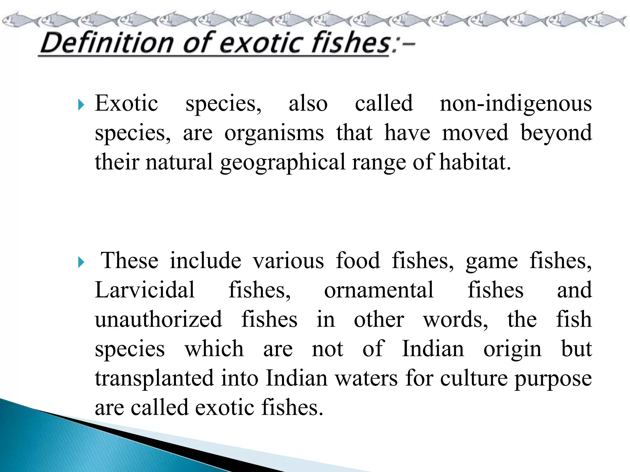 Exotic fish introduction to india and their impact on indigenous ...